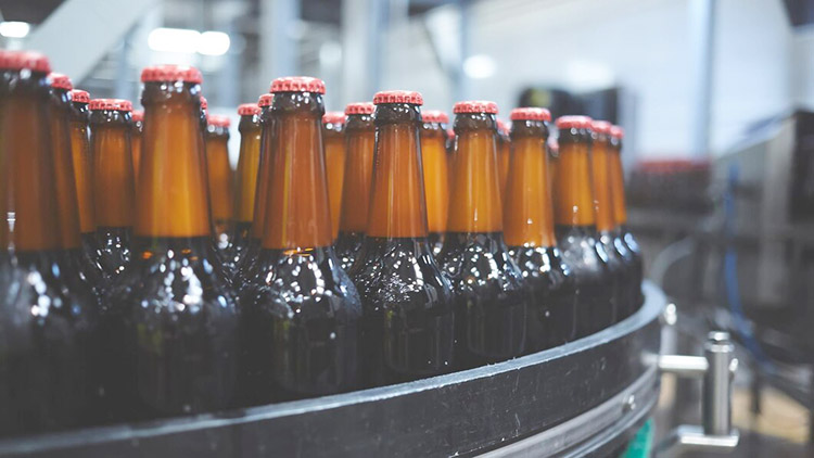 The difference between aroma hops and bitter hops - DEGONG Brewery ...